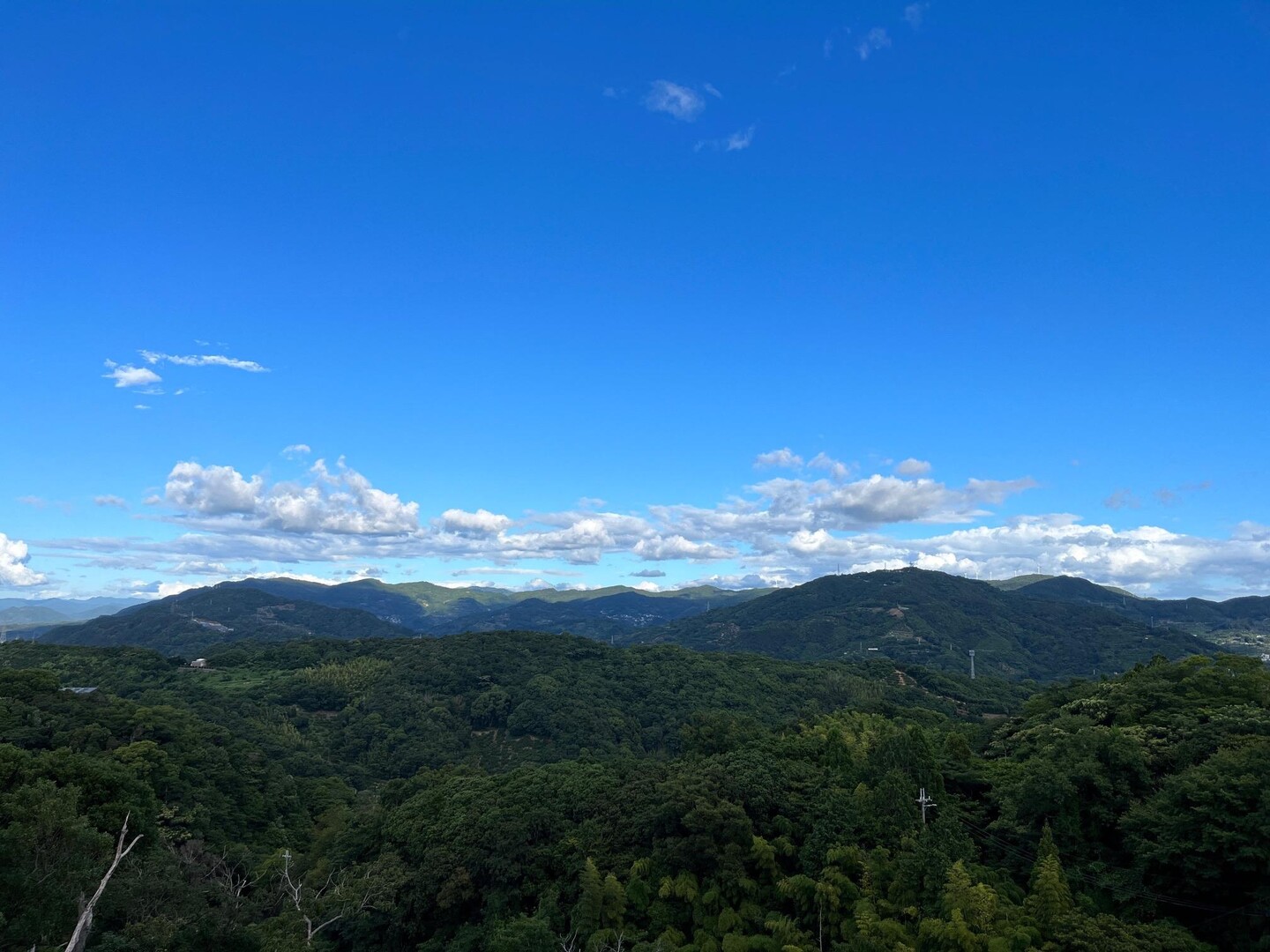 単車でピークII 高通山 / おやぢさんの名草山の活動データ | YAMAP / ヤマップ