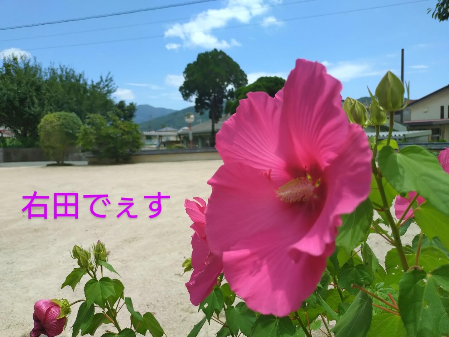 お疲れさまです🙆‍♀ 📸🌄5時半... / moana☆さんのモーメント | YAMAP / ヤマップ