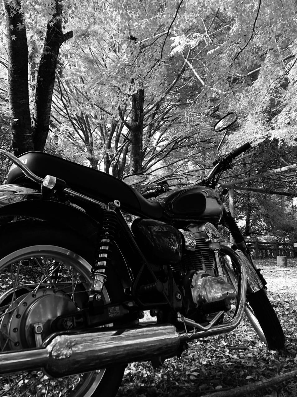 toruのページ | YAMAP / ヤマップ