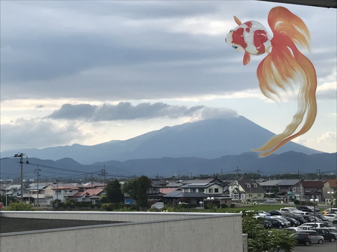 深堀隆介展の金魚と岩手山 岩手県立美術館... / あまおうさんのモーメント | YAMAP / ヤマップ