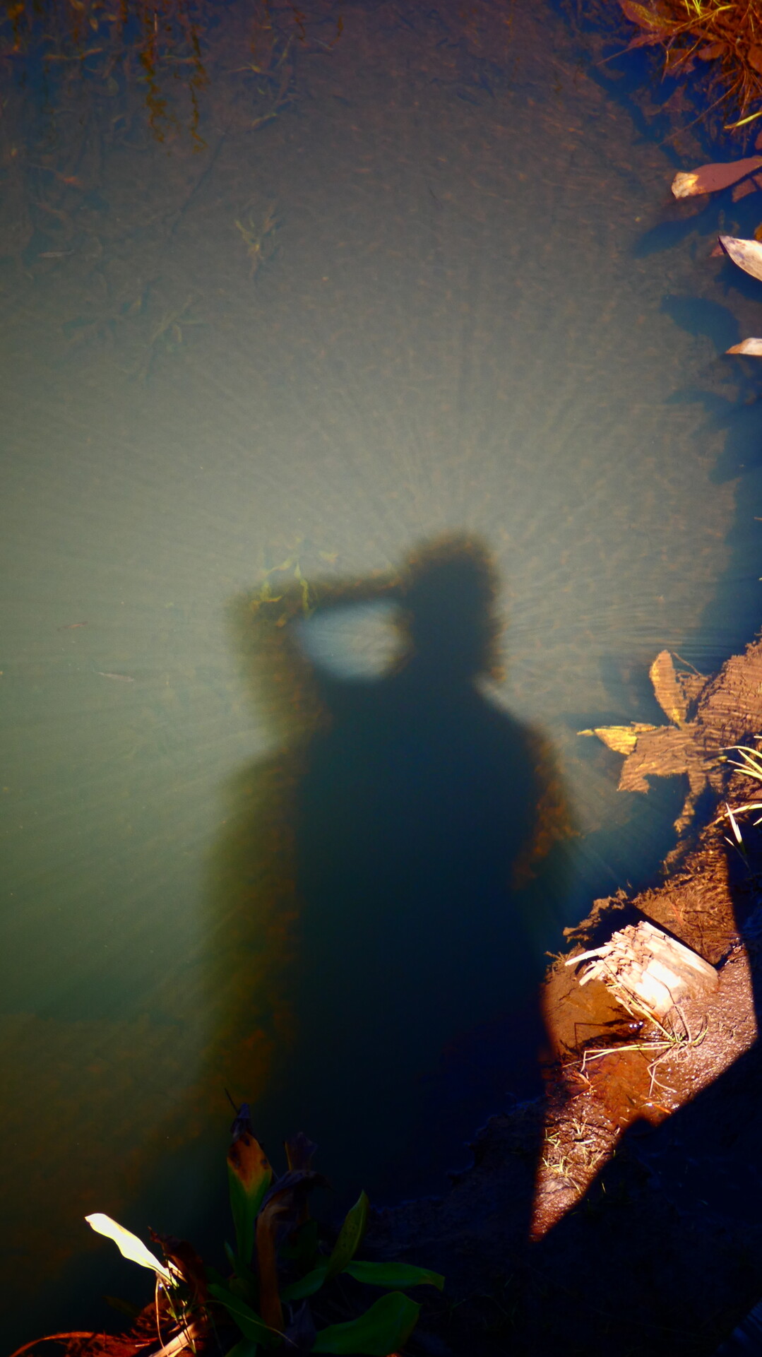 1泊2日尾瀬ヶ原の旅 in SW / おしょーさんの尾瀬・燧ヶ岳の活動データ | YAMAP / ヤマップ