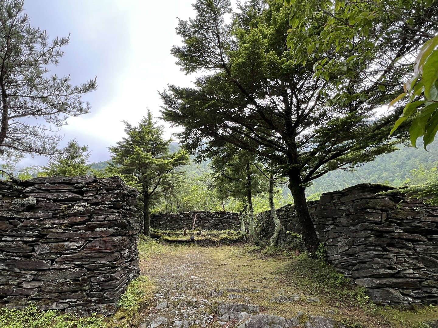 Rincoさんの投稿したフィールドメモ | YAMAP / ヤマップ