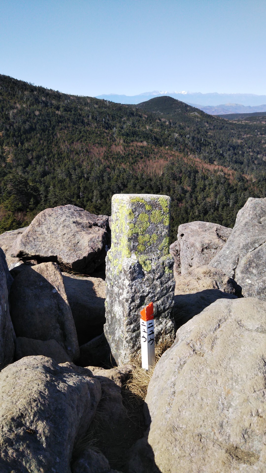 白駒池入口～白駒池、ニュウ / 八ヶ岳（赤岳・硫黄岳・天狗岳）の写真18枚目 | YAMAP / ヤマップ