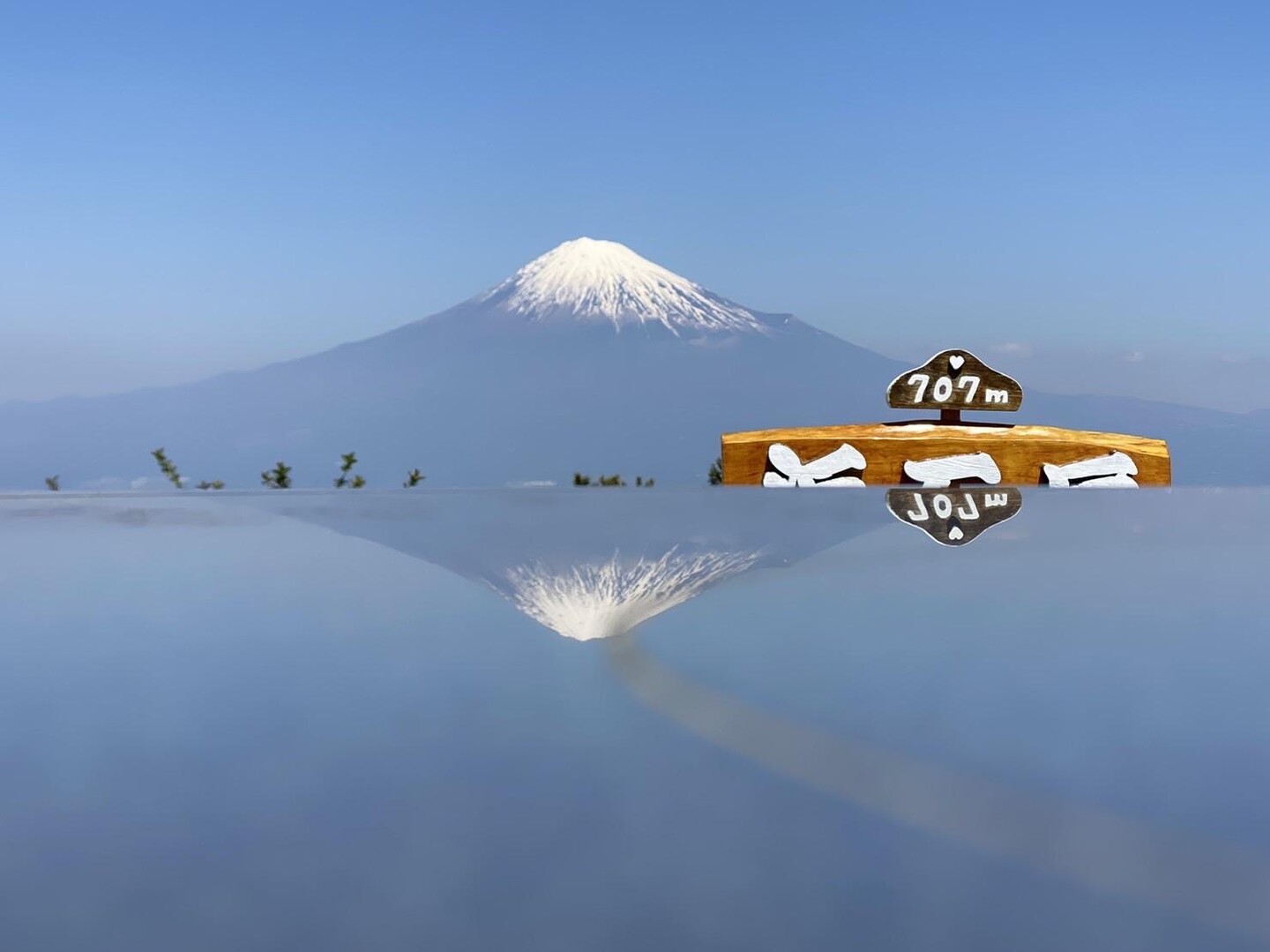 2023.04.10浜石岳 / tmkさんの薩埵峠（薩た峠・サッタ峠）・浜石岳の活動データ | YAMAP / ヤマップ