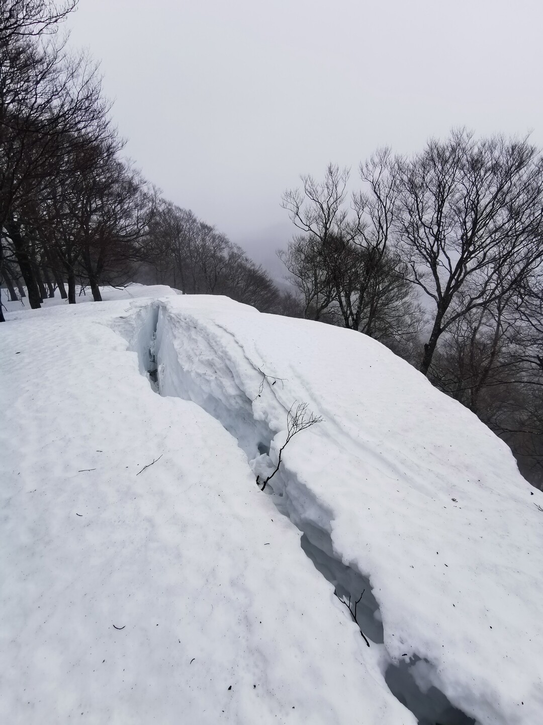 3月27日 船形山 BC SKI / やまぴさんの船形山（御所山）・泉ヶ岳・蛇ヶ岳の活動日記 | YAMAP / ヤマップ