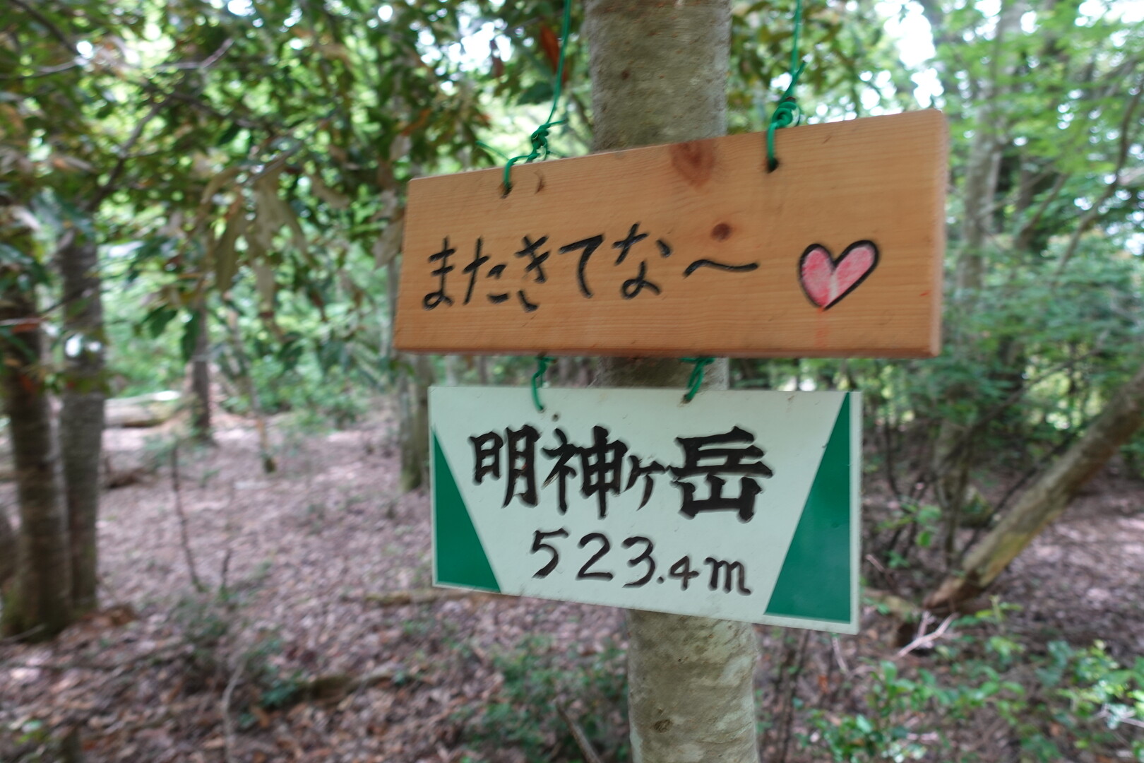 ロングに挑戦in高槻（三好山-明神ヶ岳） / persさんの明神ヶ岳・黒柄岳の活動日記 | YAMAP / ヤマップ