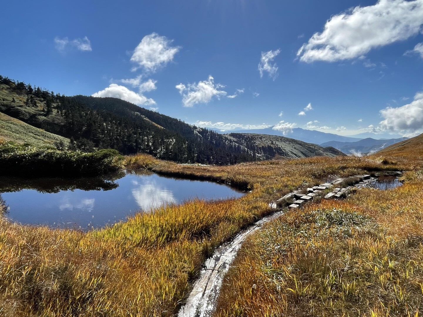 巻機山_No70/100 / Atsushiさんの巻機山・割引岳・金城山の活動データ | YAMAP / ヤマップ