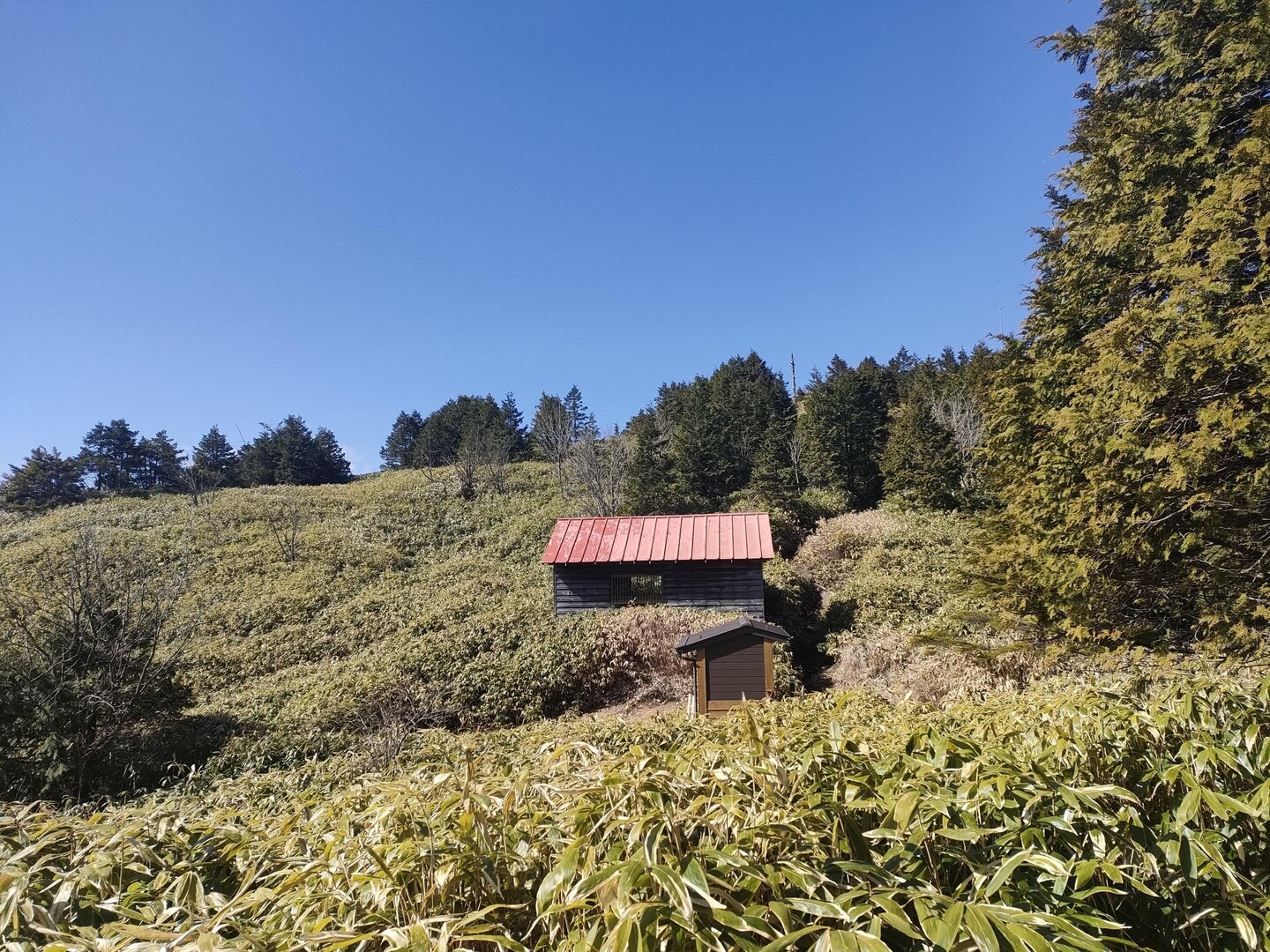 南木曽岳 / junjunさんの南木曽岳の活動データ | YAMAP / ヤマップ