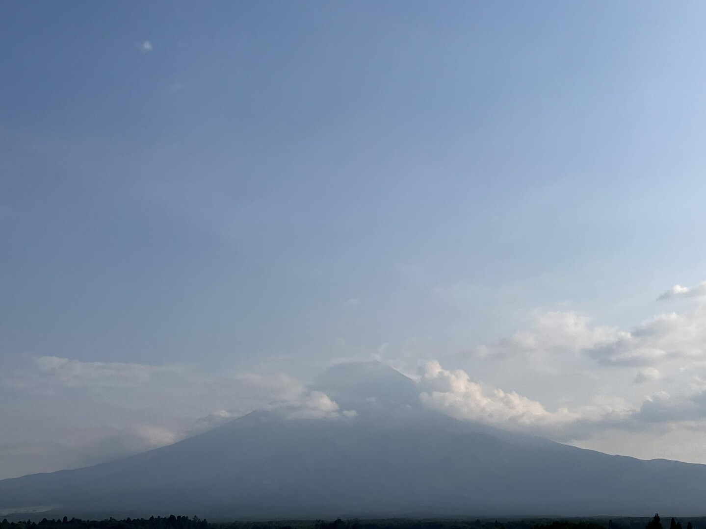 初富士山🗻馬返しから六合目まで… 樹林... / ayanonさんのモーメント | YAMAP / ヤマップ