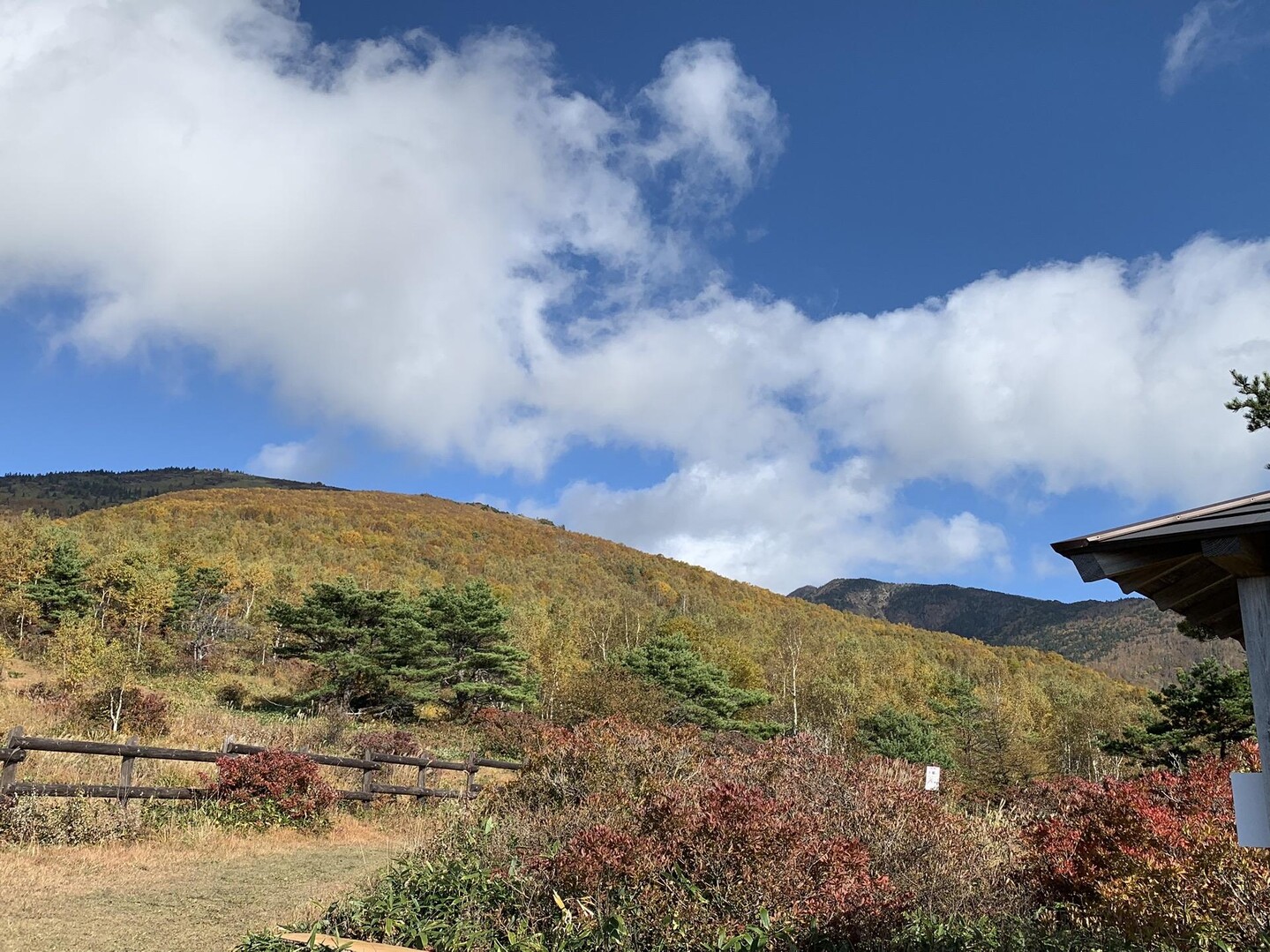 小四阿・中四阿・四阿山・根子岳 / na_oさんの四阿山・根子岳の活動データ | YAMAP / ヤマップ
