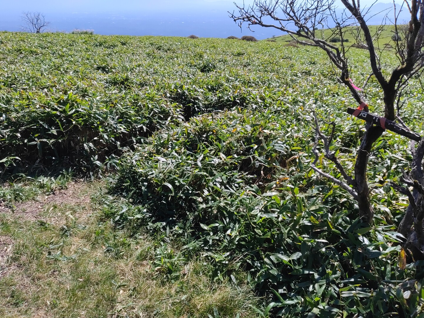 yossyさんの投稿したフィールドメモ | YAMAP / ヤマップ