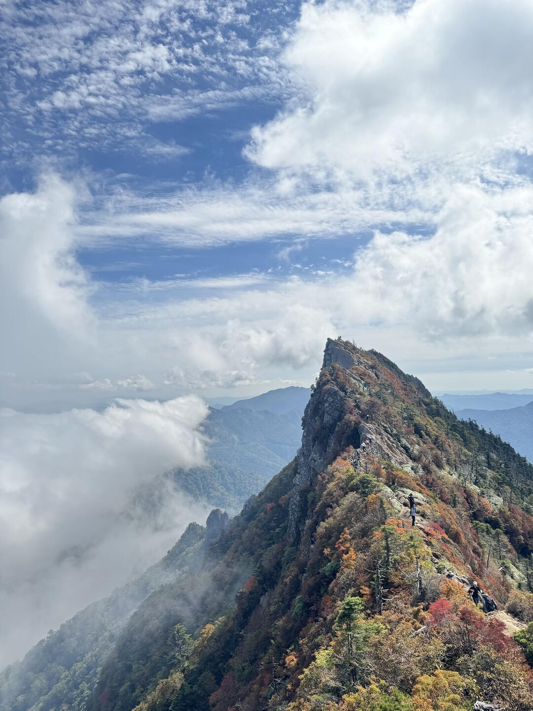 石鎚山へ御塩を頂きに / sarryさんの石鎚山・堂ヶ森・二ノ森の活動データ | YAMAP / ヤマップ