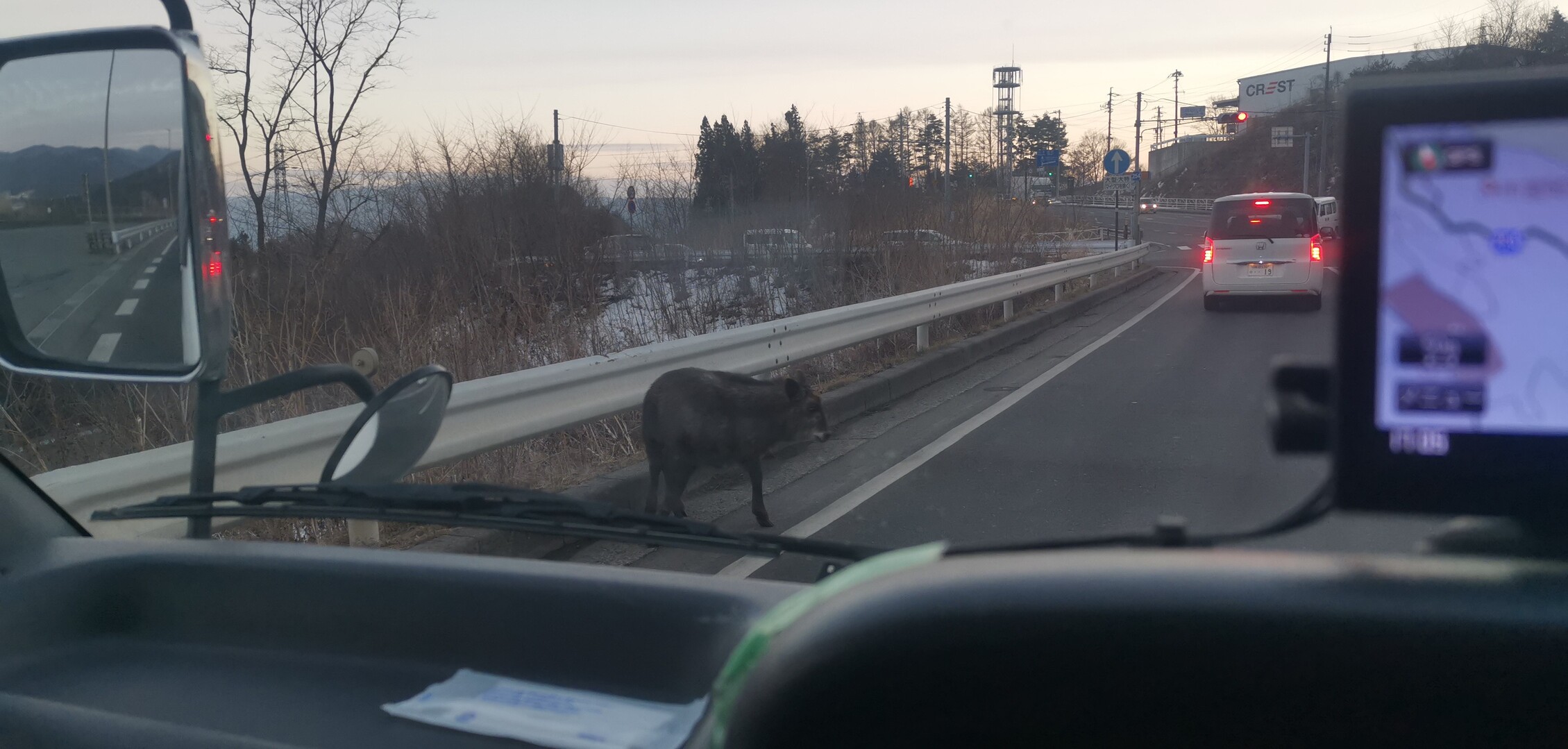 平日、普通に運転してたら突然！ 相手もビ... / dsk さんのモーメント | YAMAP / ヤマップ