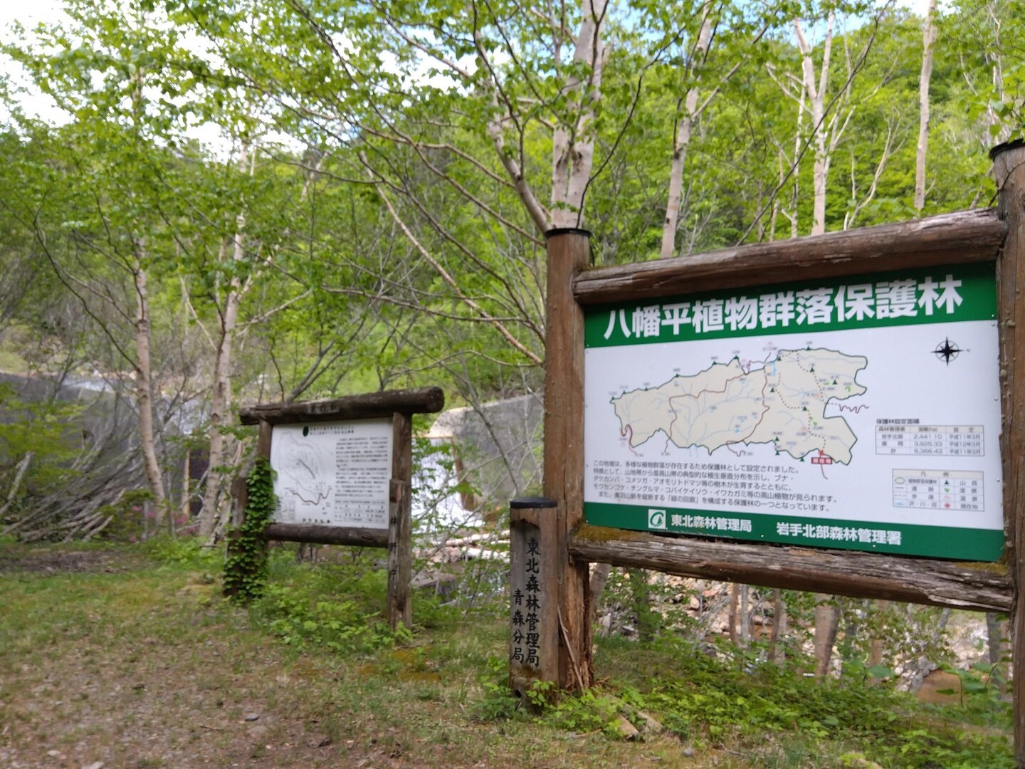 赤川登山口から茶臼岳 / TSさんの岩手山・八幡平・安比高原 50km トレイルの活動データ | YAMAP / ヤマップ