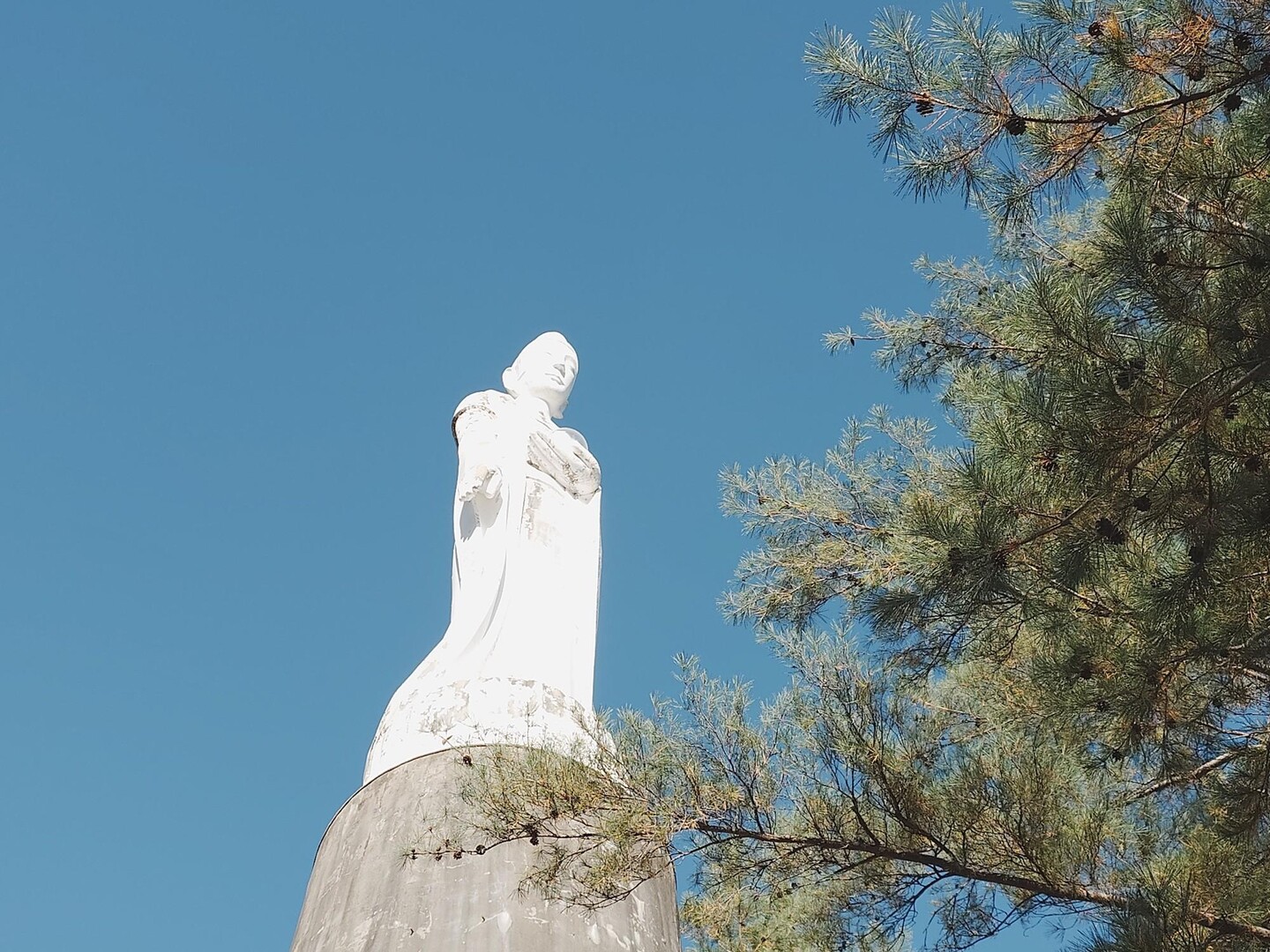 鐘推堂山 / 2543mさんの興因寺山・淡雪山・八王子山の活動日記 | YAMAP / ヤマップ