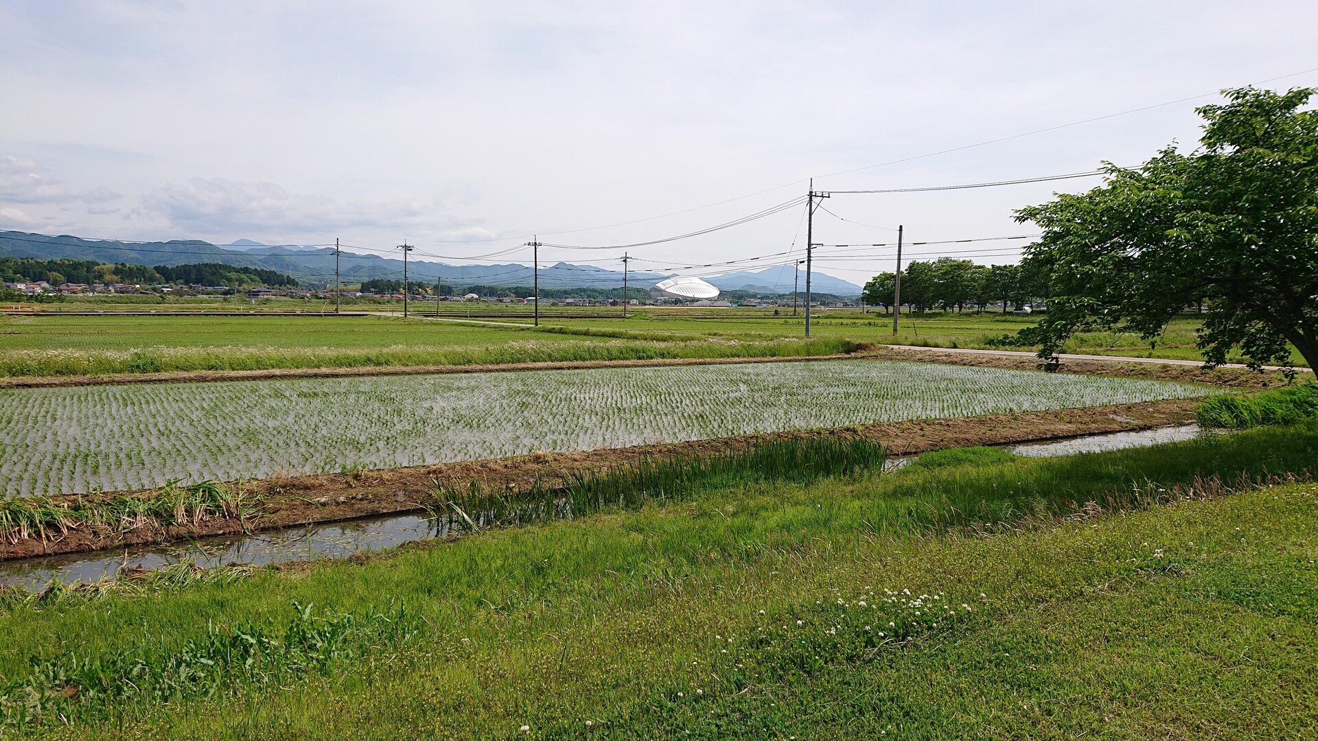 木場潟ウォーキング 3回目 / jt0450さんの小松市の活動データ | YAMAP / ヤマップ