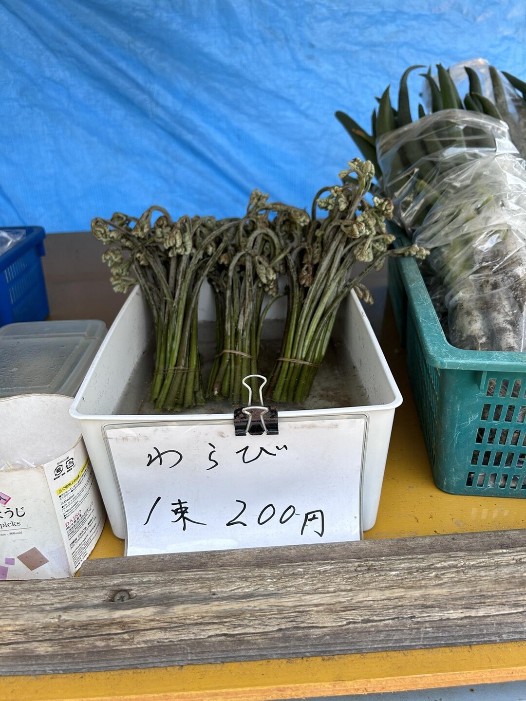 林道歩き / MC HIROさんの日和田山・物見山の活動データ | YAMAP / ヤマップ