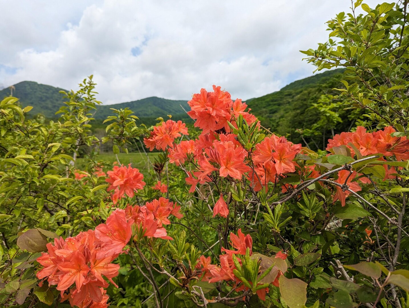 黒姫山 / nicomomoさんの黒姫山の活動データ | YAMAP / ヤマップ