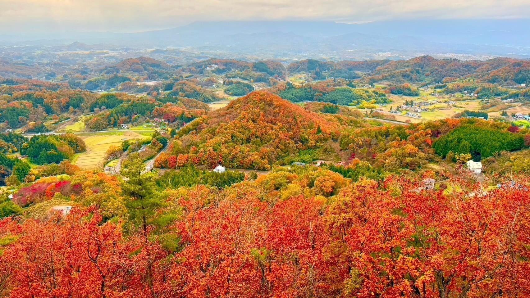 【番外編】UFO千貫森👽️ / ちひろさんの花塚山の活動データ | YAMAP / ヤマップ