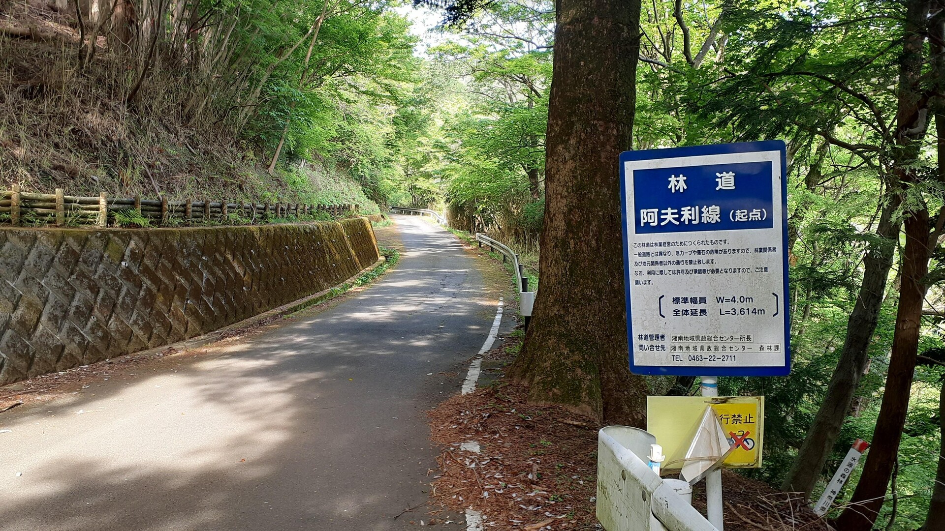 伊勢原駅～阿夫利神社下社 ランニング / shi-raさんの大山の活動データ | YAMAP / ヤマップ