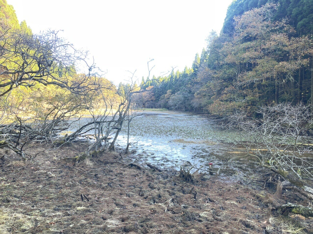 石津御嶽・石津山 / aichi ksさんの多度山・美濃松山・石津御嶽の活動データ | YAMAP / ヤマップ
