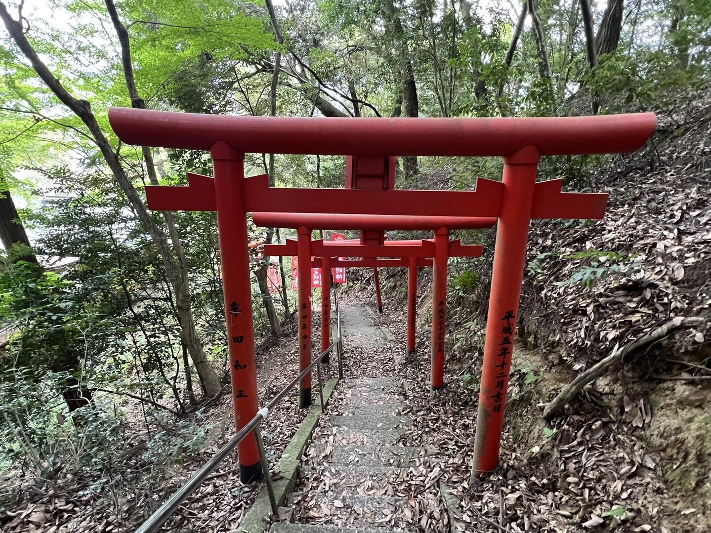 天拝山・奥天拝🌿遭難者が見つかりました ️ / ビタミンさんの天拝山・基山の活動日記 | YAMAP / ヤマップ