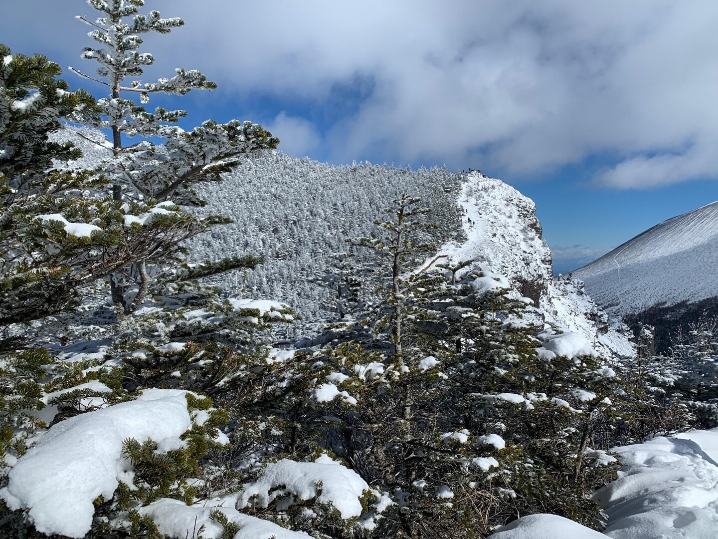 HALさんの投稿したフィールドメモ | YAMAP / ヤマップ