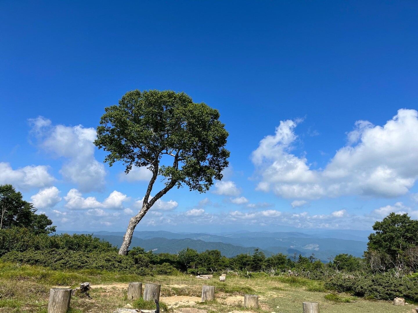 位山 / jiro23さんの川上岳・位山・船山（飛騨富士）の活動データ | YAMAP / ヤマップ