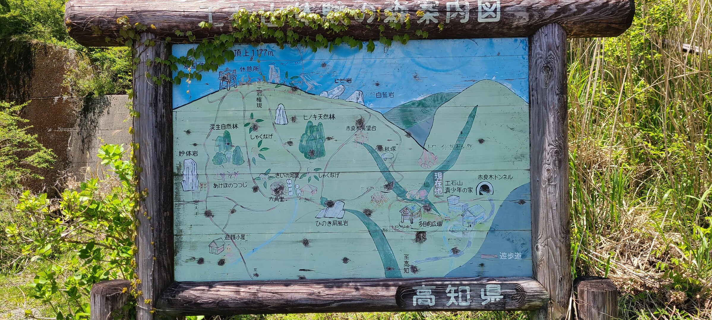 工石山-2023-05-03 / mimiさんの登山の活動データ | YAMAP / ヤマップ