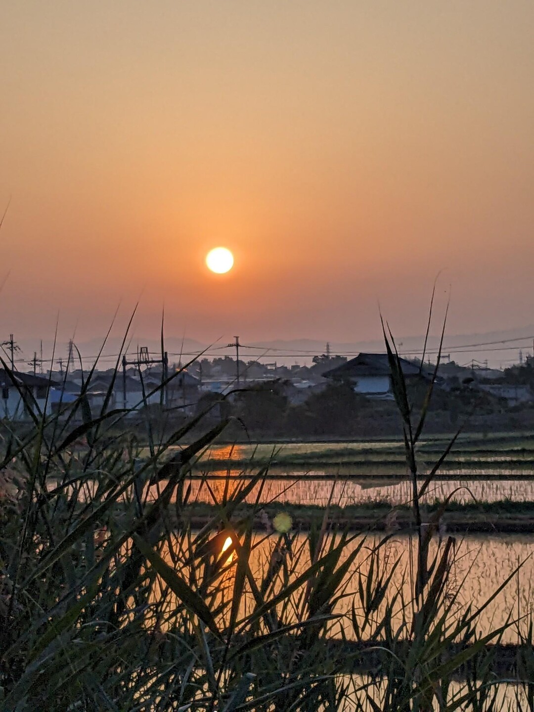 6月19日（月曜日）AM.7時.00 キ... / 成ちゃんさんのモーメント | YAMAP / ヤマップ