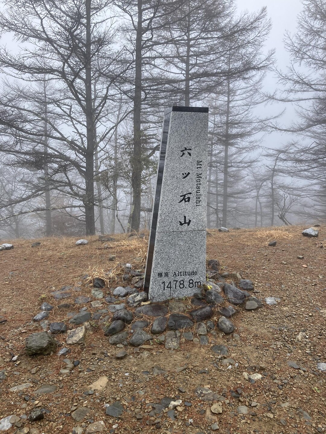 奥多摩湖バス停から六ツ石山 石尾根経由奥多摩駅まで / nakashinさんの大岳山・御岳山・御前山の活動データ | YAMAP / ヤマップ
