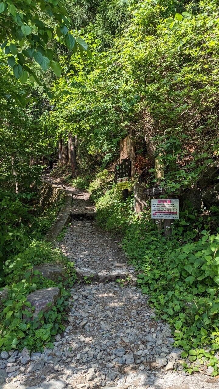 棒の峰202305 / ヒデキさんのモーメント | YAMAP / ヤマップ