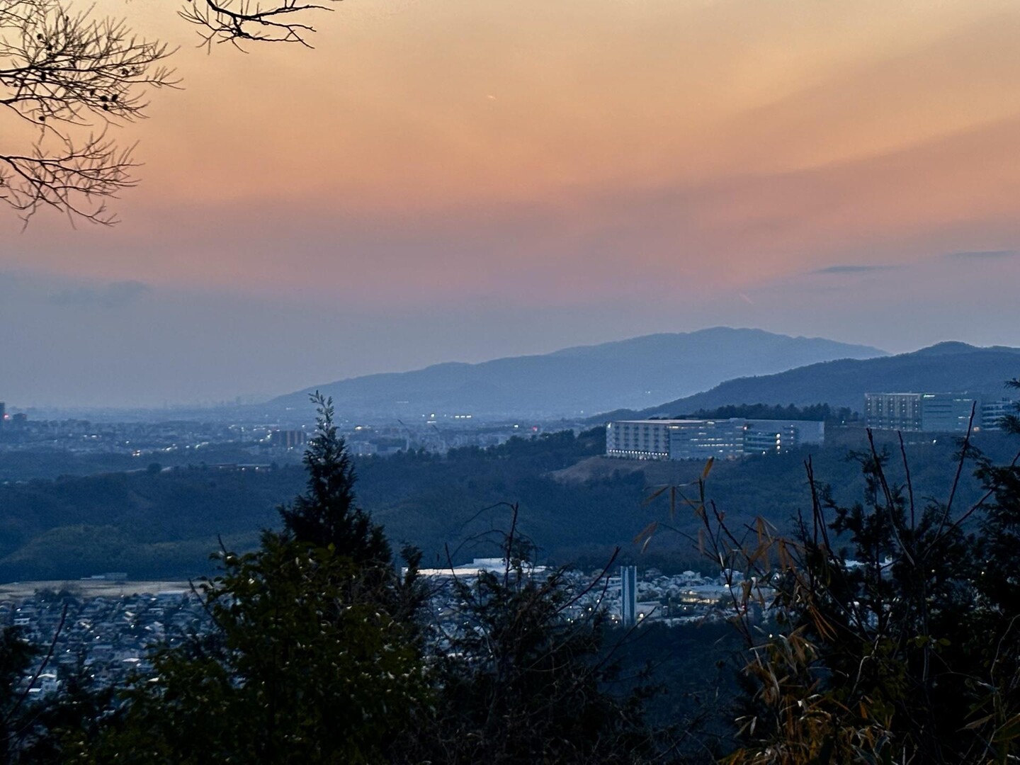 夕陽を見たくて阿武山⛰️へ / ミカン de mikanさんの竜王山・阿武山の活動データ | YAMAP / ヤマップ