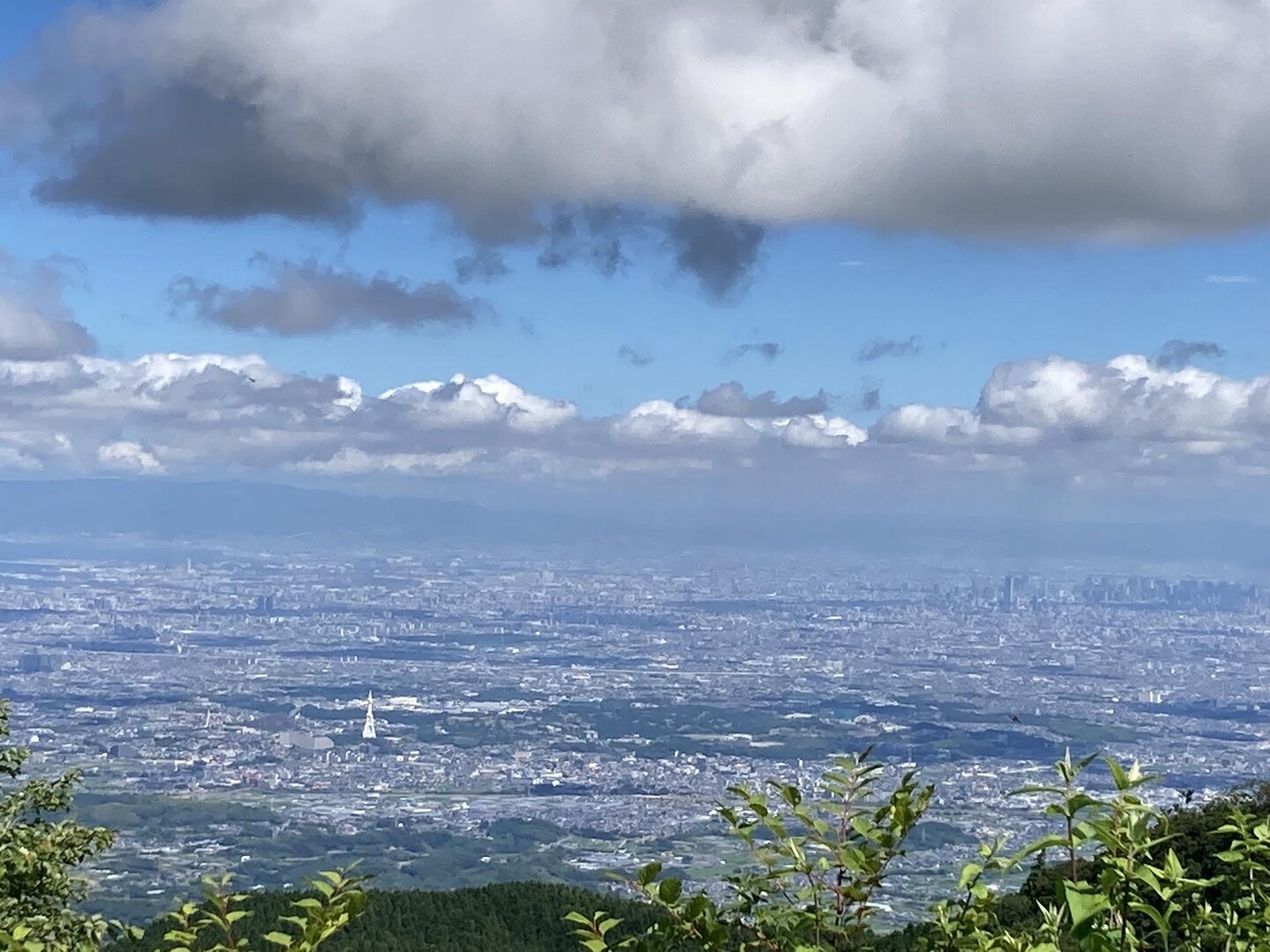 金剛山 / tttさんの金剛山・二上山・大和葛城山の活動データ | YAMAP / ヤマップ