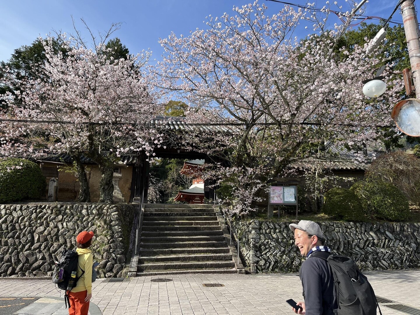 高野山参詣道（町石道） / Noriyamaさんの六甲山・長峰山・摩耶山の活動データ | YAMAP / ヤマップ