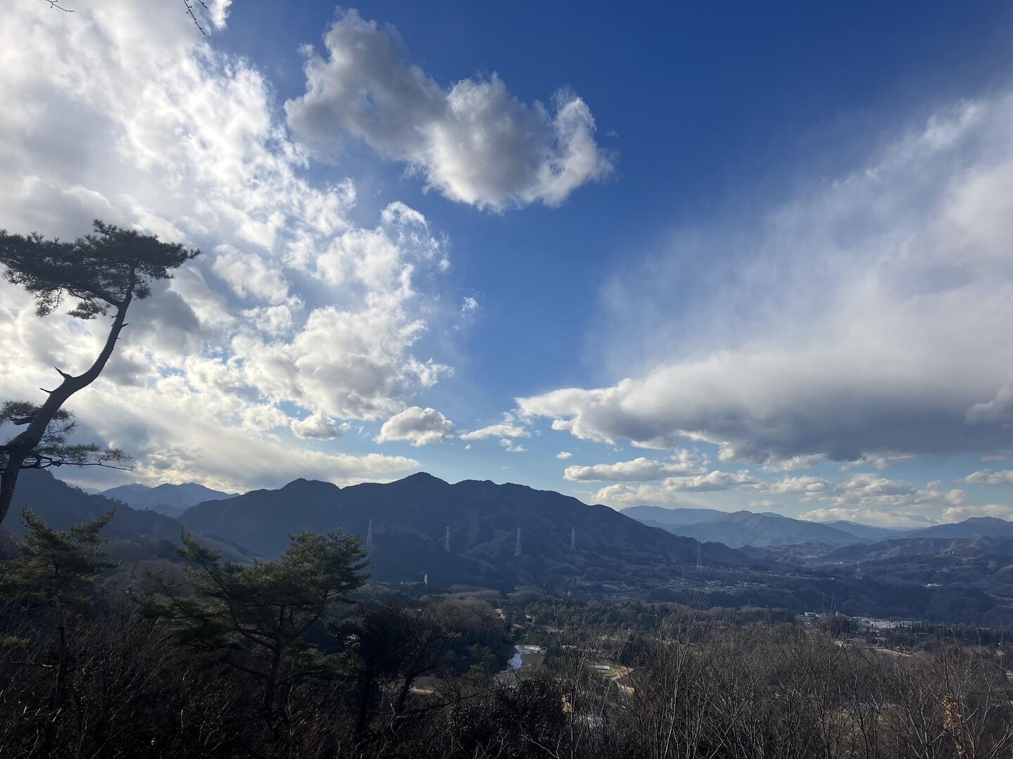 🗻 AZUSA ☘️ 陸 🥾さんの投稿したフィールドメモ | YAMAP / ヤマップ