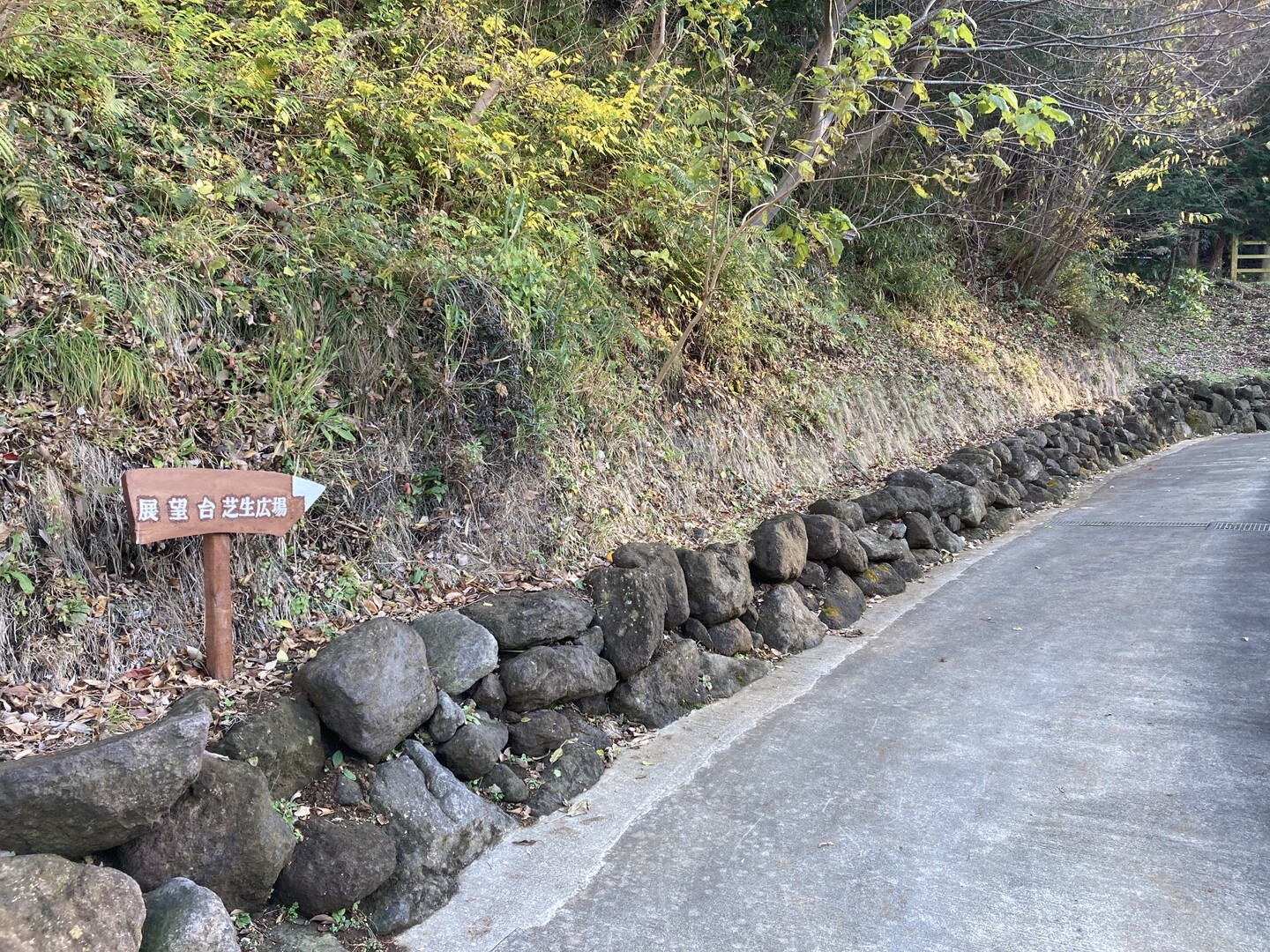 harryさんの投稿したフィールドメモ | YAMAP / ヤマップ