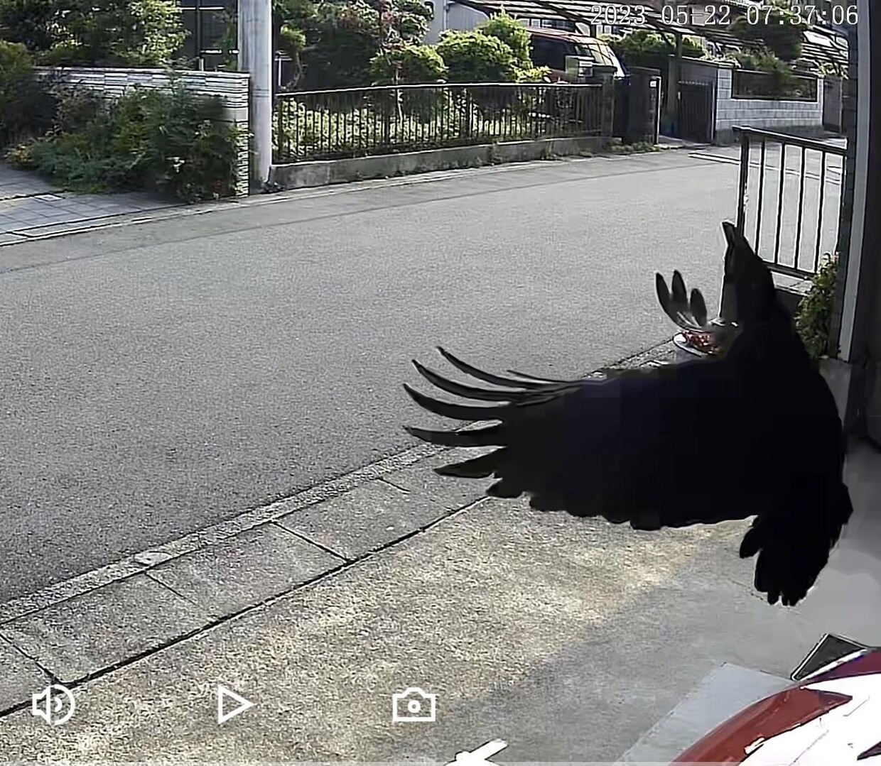 今年のツバメ その6（最終？） 残念な... / osamさんのモーメント | YAMAP / ヤマップ