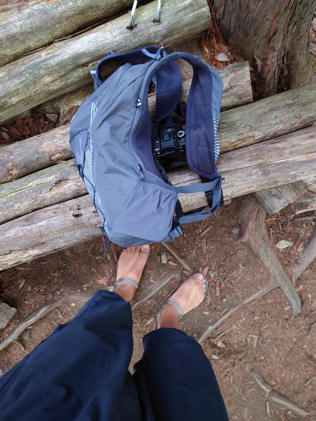 湿度マックスな朝、女山まで / ta2さんの鳴神山・吾妻山の活動データ | YAMAP / ヤマップ