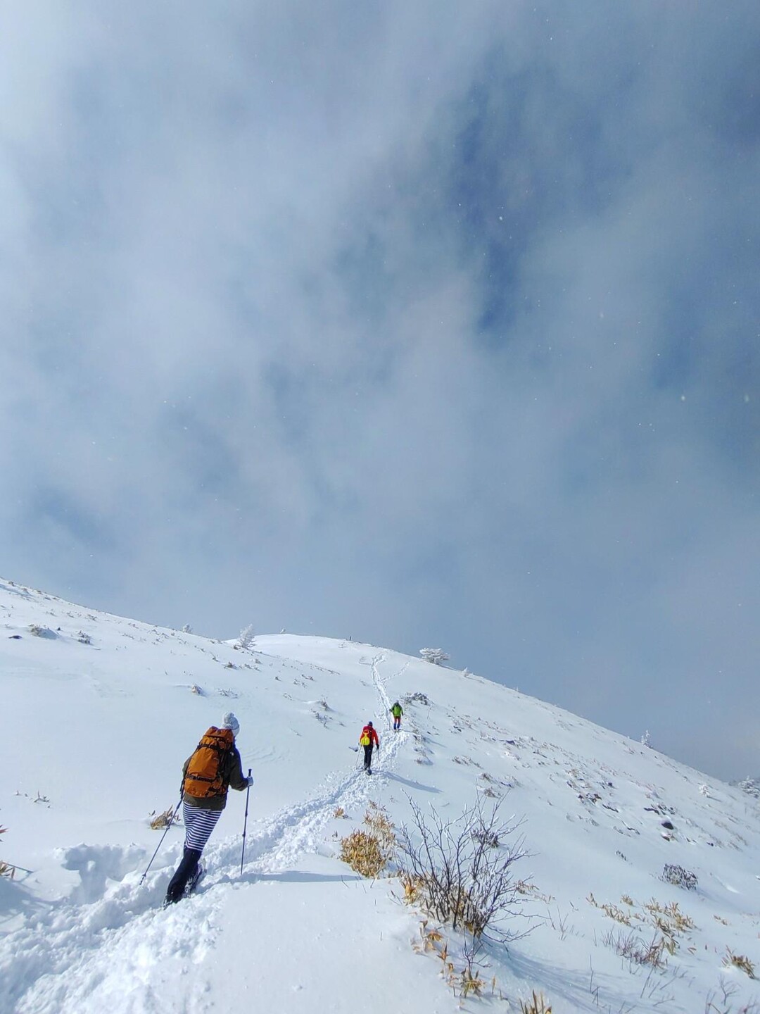 湯ノ丸山 / よめださんの湯ノ丸山・角間山・鍋蓋山の活動データ | YAMAP / ヤマップ