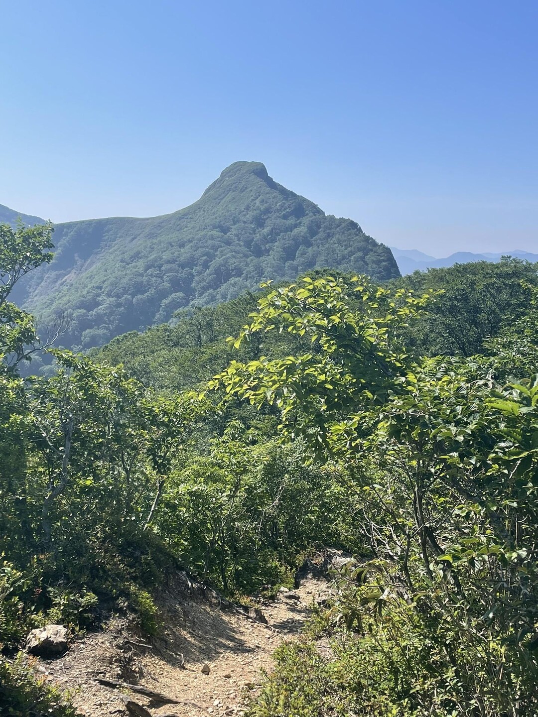冠山 / 3連続OBさんの冠山・金草岳の活動データ | YAMAP / ヤマップ