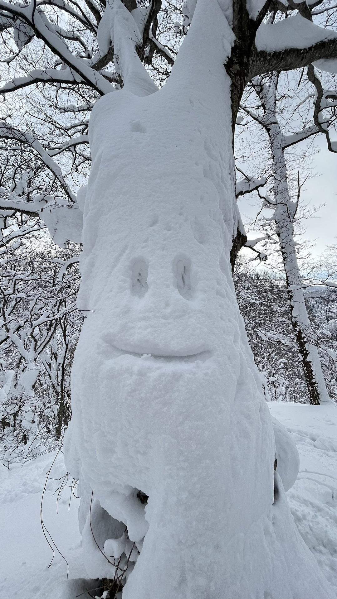 山友といつもの梵珠山 / MASAさんの梵珠山の活動データ | YAMAP / ヤマップ