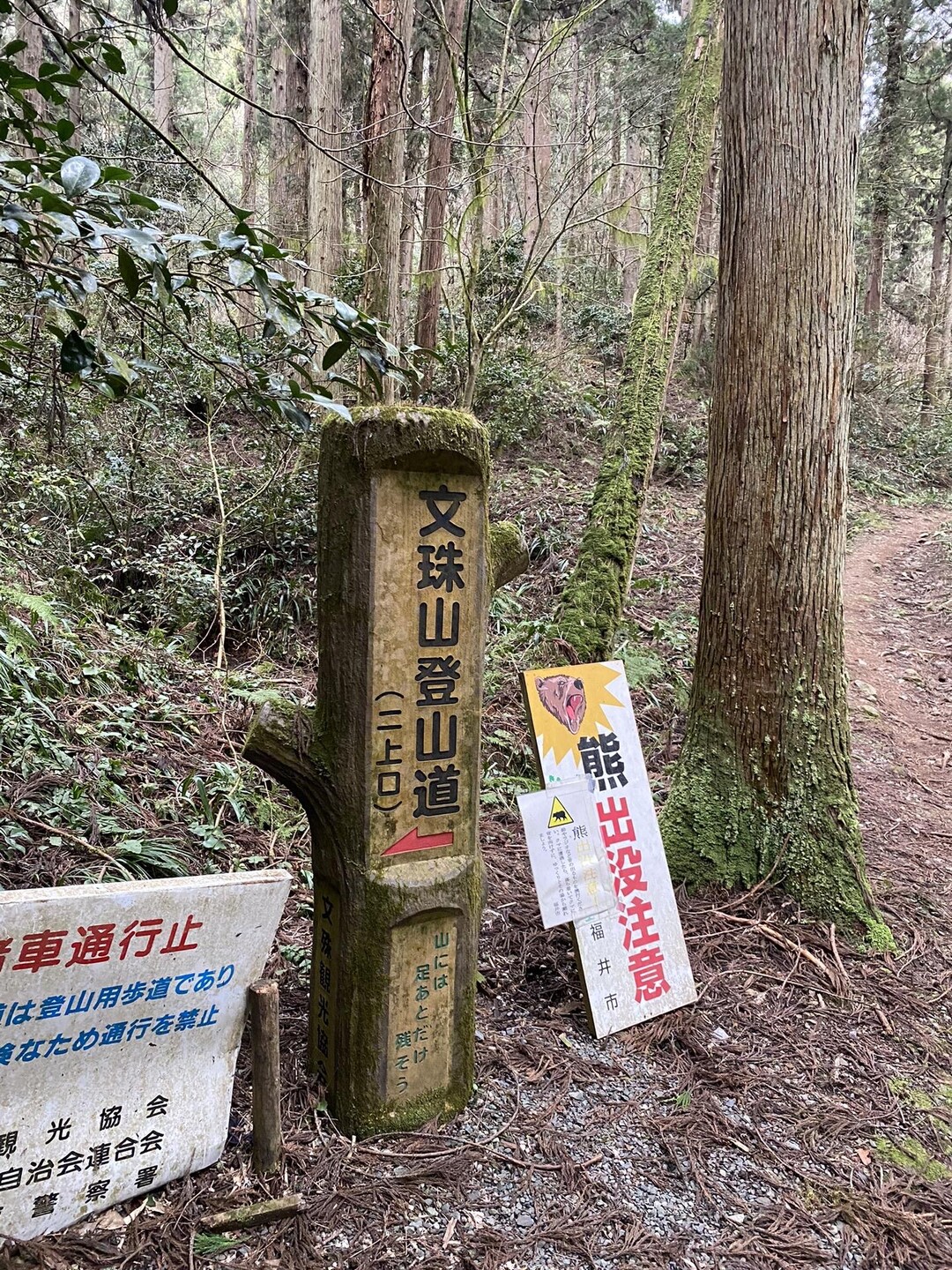 文殊山・文殊山（奥の院） / Shigexさんの文殊山の活動データ | YAMAP / ヤマップ
