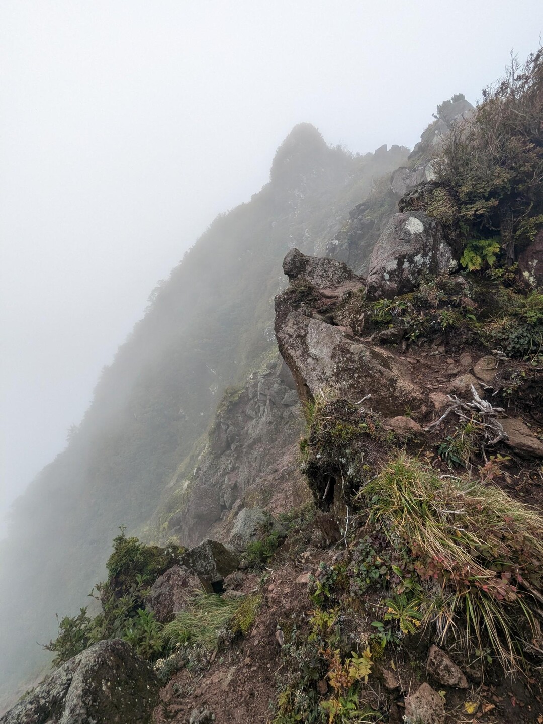 烏ヶ山・象山(笹ヶ峰) / AMA TREKさんの烏ヶ山・象山（笹ヶ峰）の活動データ | YAMAP / ヤマップ