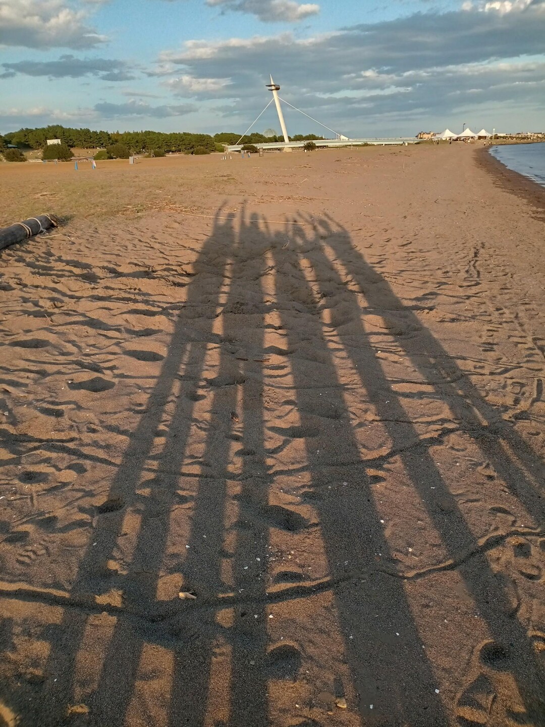 葛西臨海公園鳥類園🦢の干潟拡大ボランティア活動2023-10-07 / masasan🏃東京🗼仕事も遊びも本気です👣さんのウォーキングの活動データ | YAMAP / ヤマップ