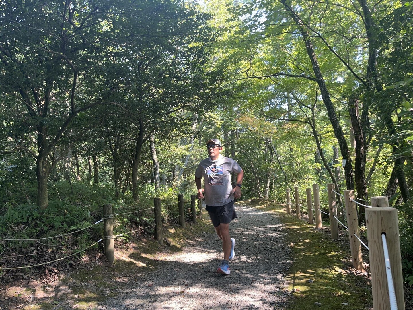 体力維持は清水山。名付けて『いこ森』周回。 / NAOZOさんの小松市の活動データ | YAMAP / ヤマップ