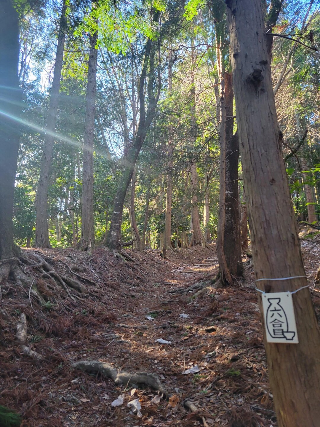 南宮山 R06.01.05 / 良さんの南宮山・象鼻山の活動データ | YAMAP / ヤマップ