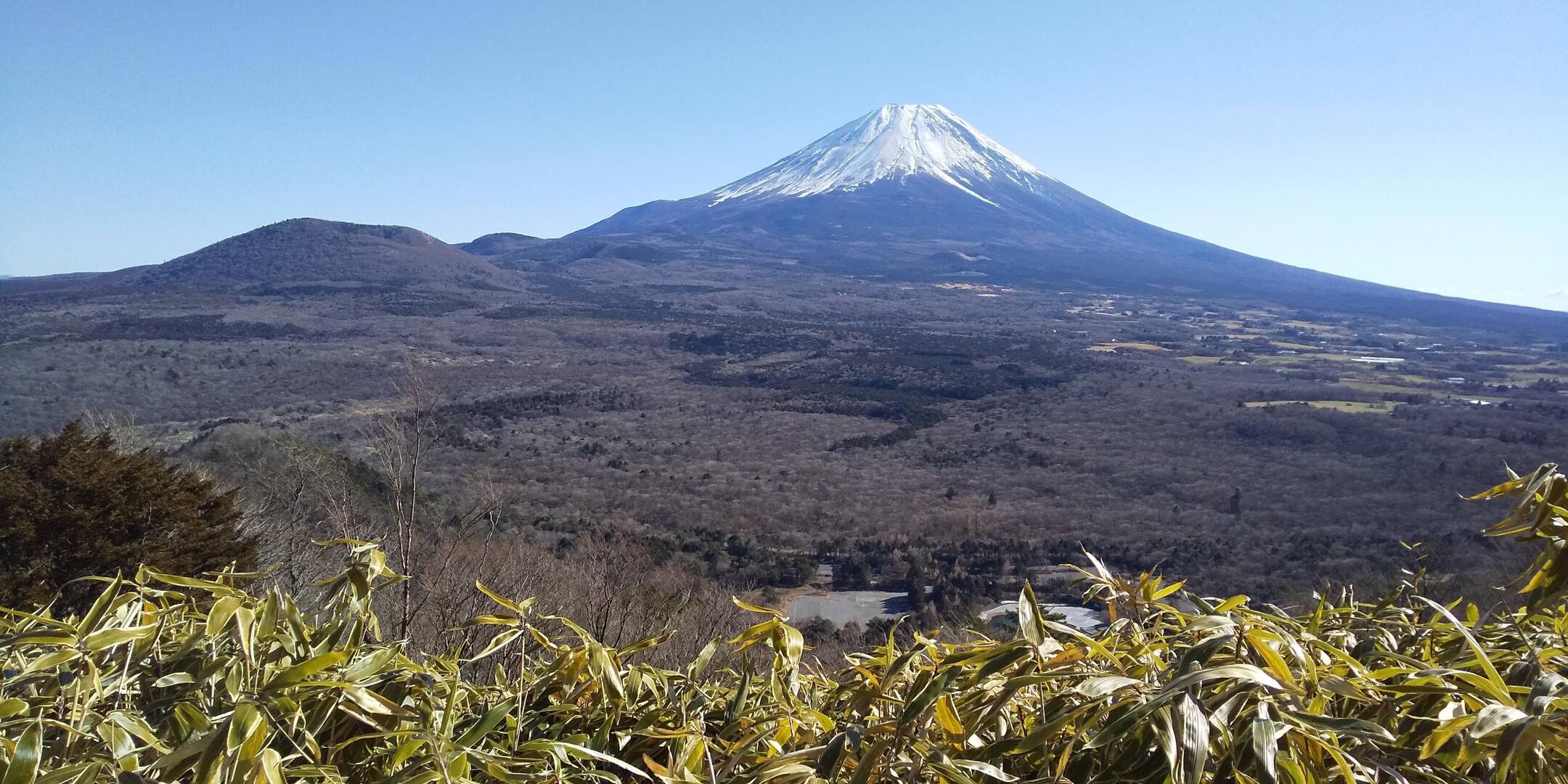 竜ヶ岳 / kimichanさんの毛無山・雨ヶ岳・竜ヶ岳の活動データ | YAMAP / ヤマップ