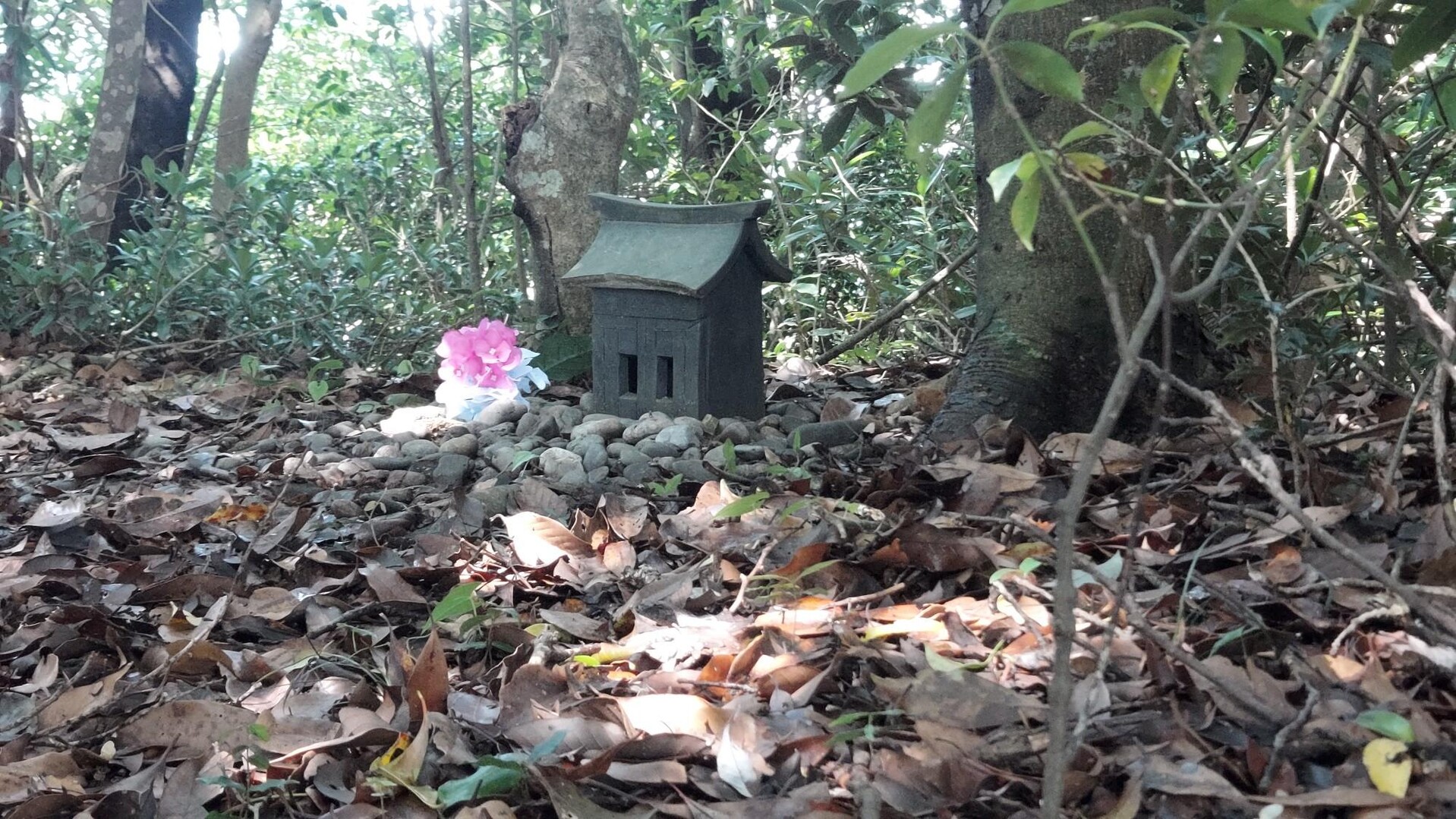 落ち葉の里から霊屋の峰へ / piropiroさんの坊ヶ峰・石巻山・神石山・葦毛湿原の活動データ | YAMAP / ヤマップ