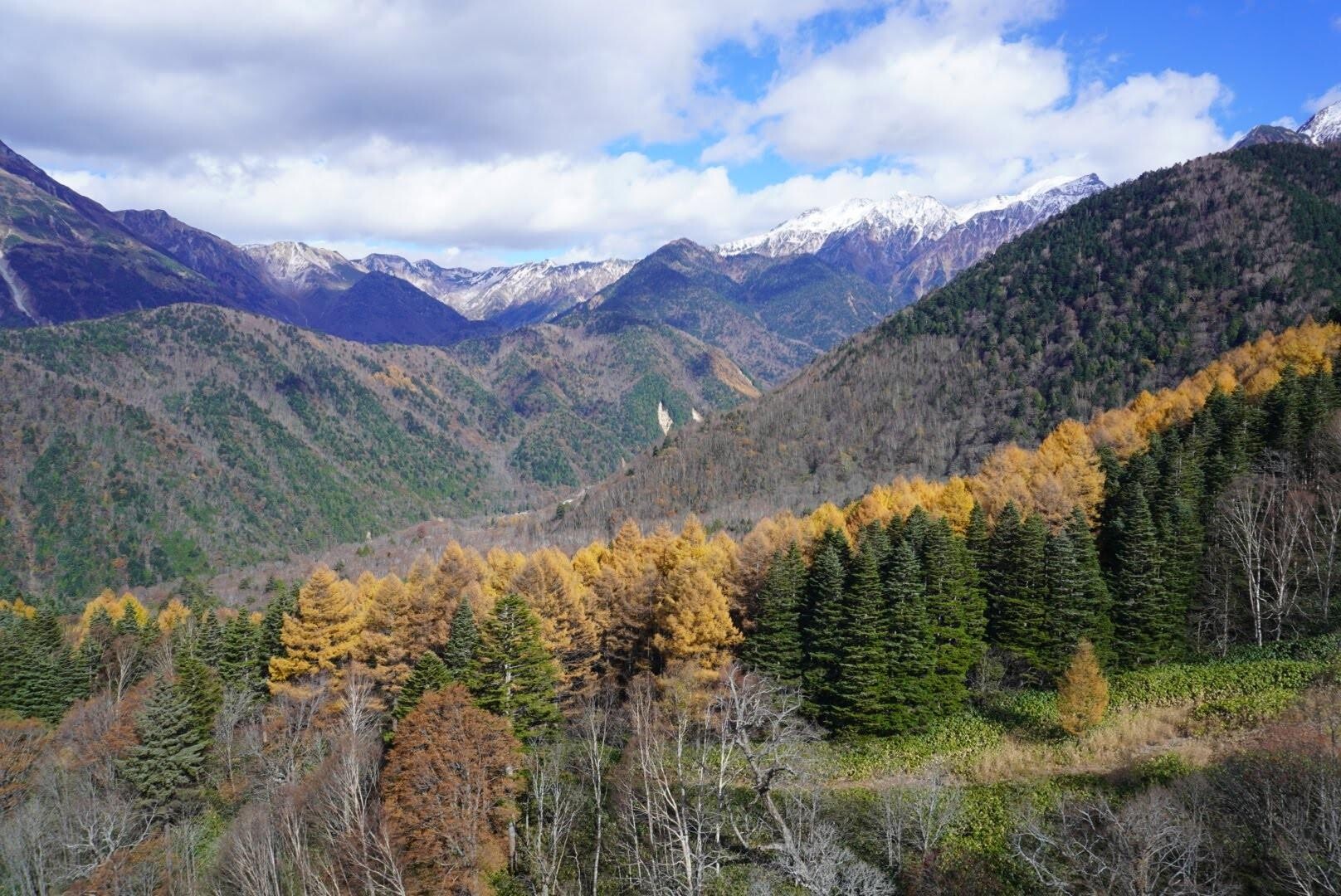 2022.11.5 秋の新穂高ロープウェ... / Izumi.Kさんのモーメント | YAMAP / ヤマップ